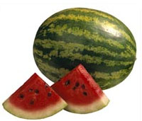 Faster Growing Watermelons In The Garden - Plant-Power